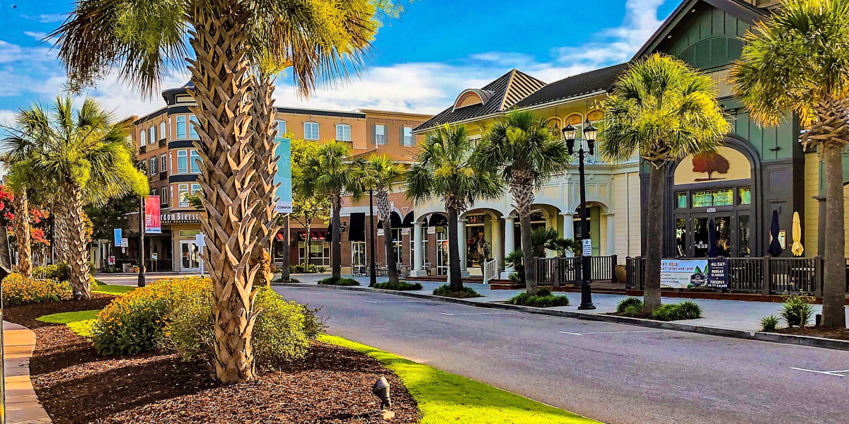 The Market Common Distribution - Sasee Magazine